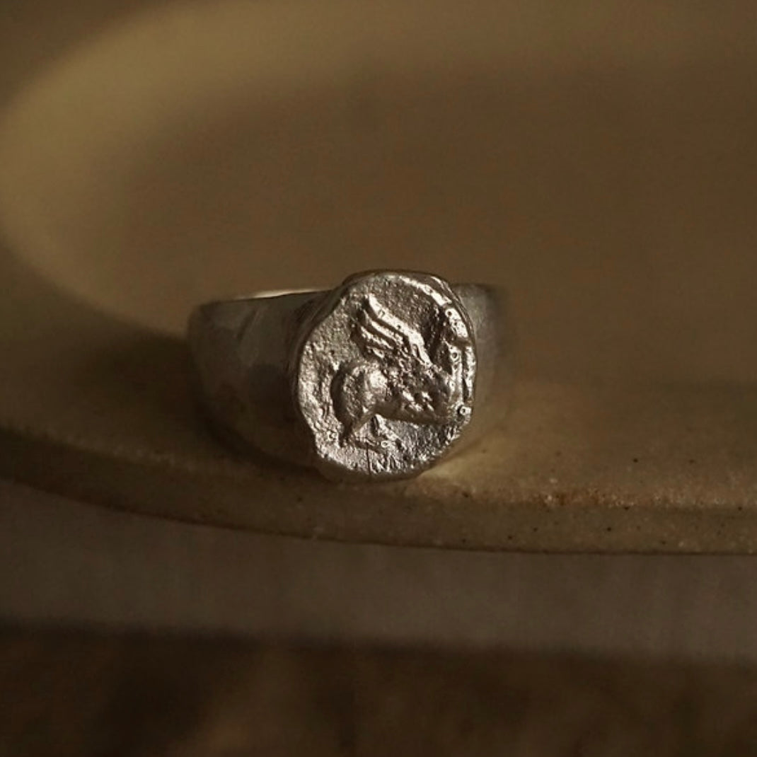 Luna Flux - Pegasus Ring – Atwin Store